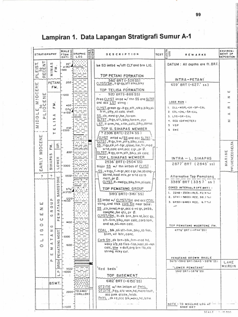 Stratigraphic Data for Well A-1 | PDF | Teaching Methods & Materials ...