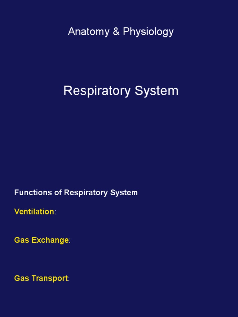 Anatomi & Fisiologi Sistem Respirasi | PDF | Respiratory System | Lung