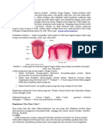 Anatomi dan Fisiologi Indra Penciuman | PDF