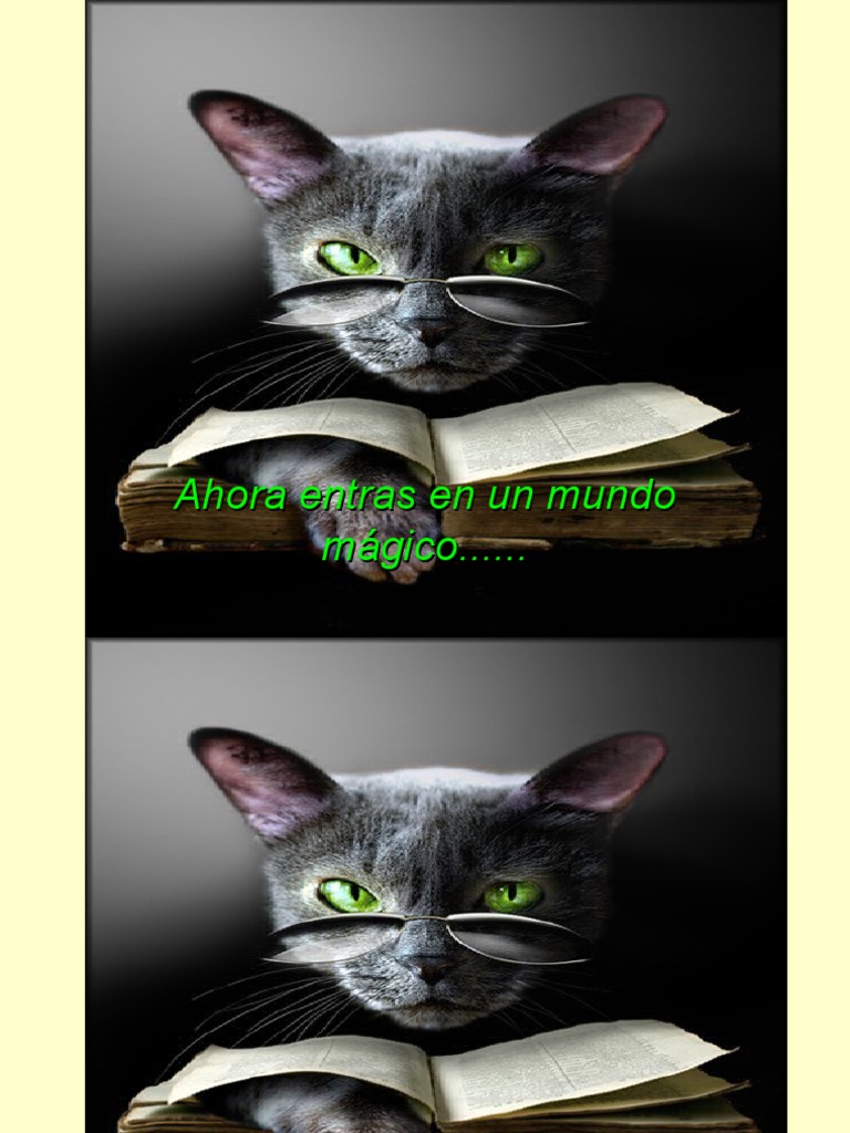 El Gato Vidente | PDF