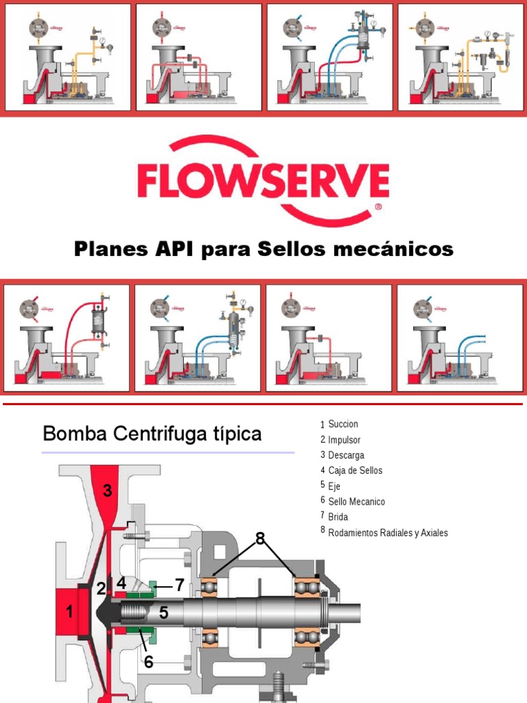 PLANES DE SELLADO API EN ESPAÑOL.ppt | Bomba | Intercambiador de calor