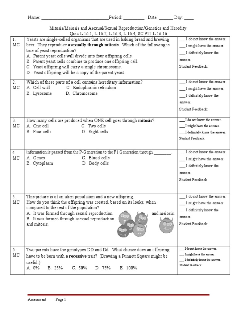Mitosis and Genetics Quiz for Students | PDF | Dominance (Genetics ...
