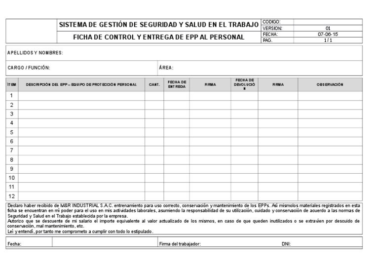 Ficha de Control de EPP | PDF | Business