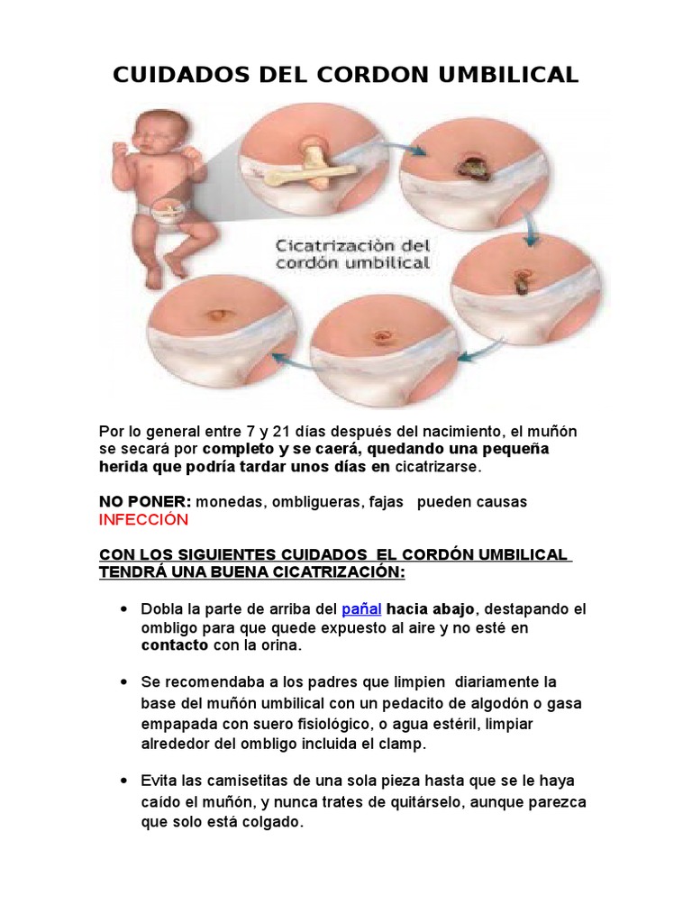 Cuidados Del Cordon Umbilical | PDF