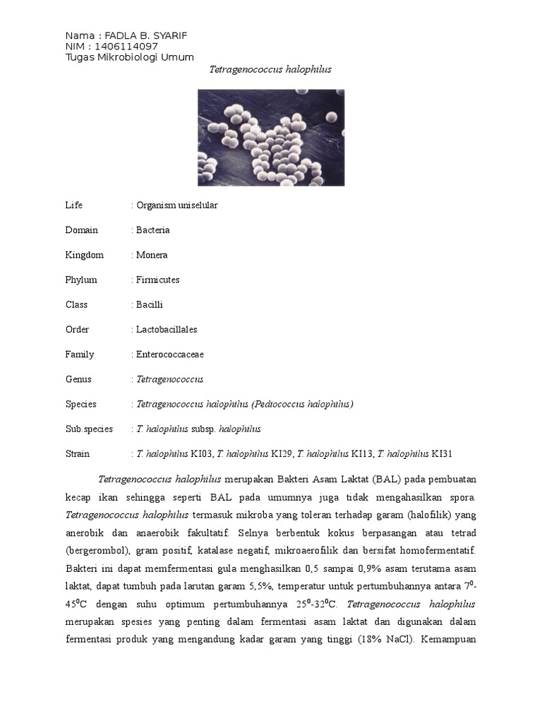 Tetragenococcus Halophilus (Final) | PDF | Memasak, Makanan, & Anggur ...