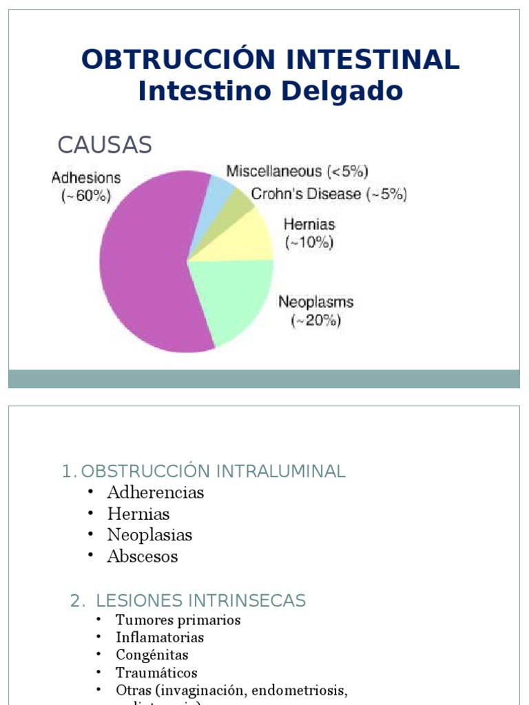 Oclusión Intestinal | Gastroenterología | Enfermedades digestivas ...