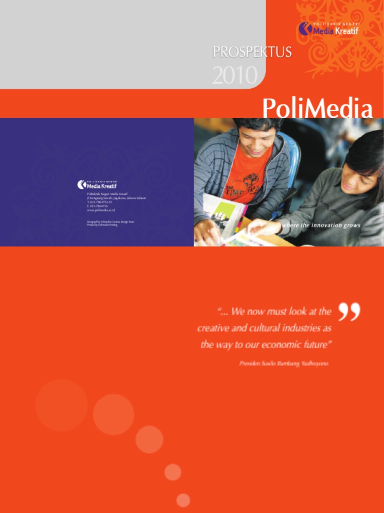 PoliMedia: Creative Education Overview | PDF | Art