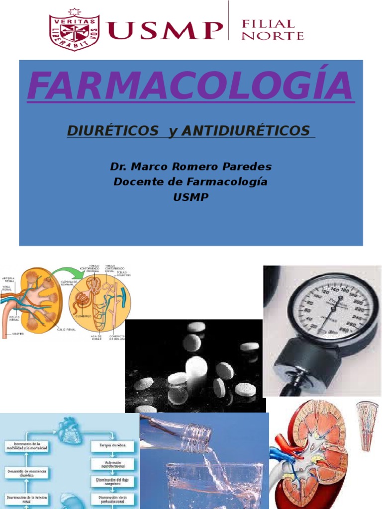 Farmacología de Diuréticos y Antidiuréticos | PDF | Riñón | Farmacocinética