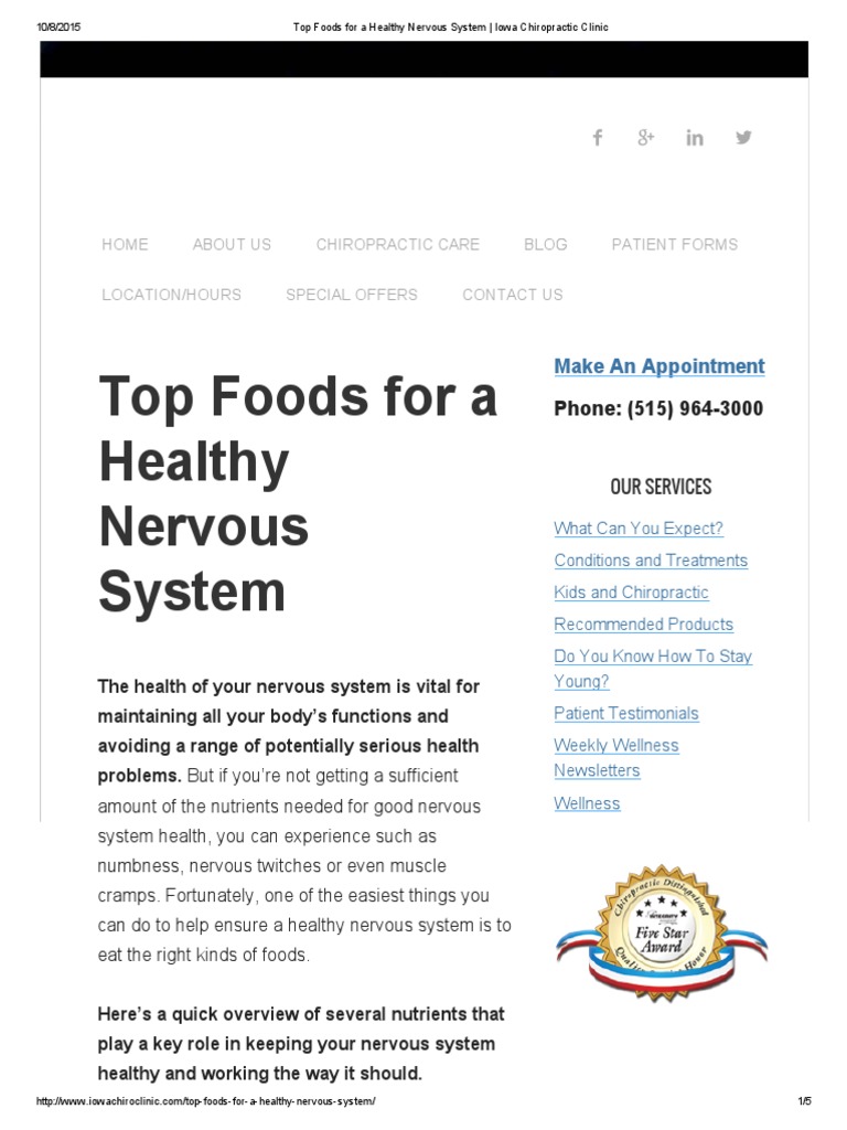 Top Foods For A Healthy Nervous System | PDF | Nervous System | Neurology