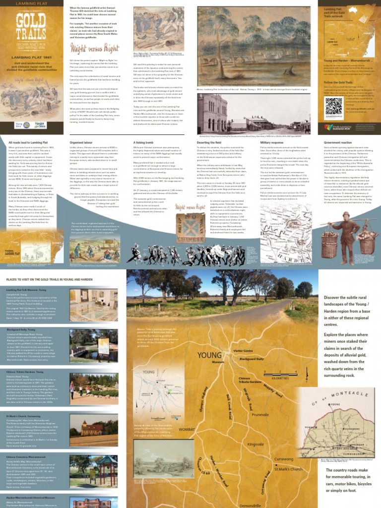 Lambing Flat Riots: Anti-Chinese Goldfield Conflict | PDF | Violence