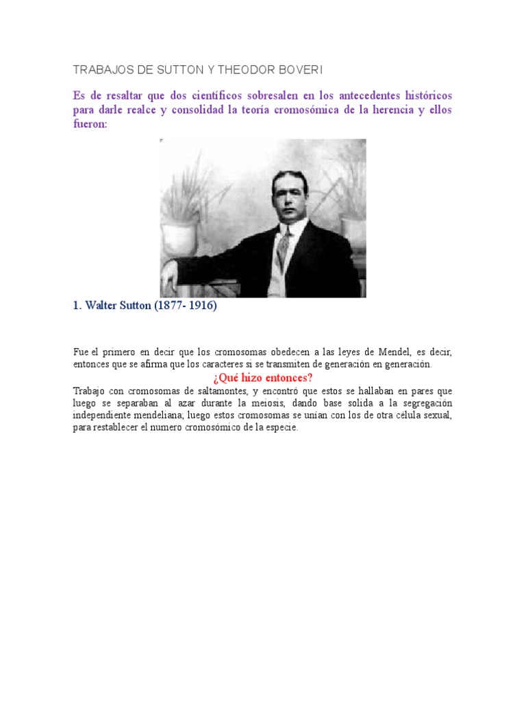 Trabajos de Sutton y Theodor Boveri