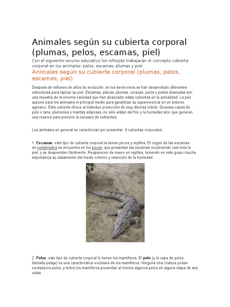 Animales Según Su Cubierta Corporal | PDF | Pluma | Mamíferos