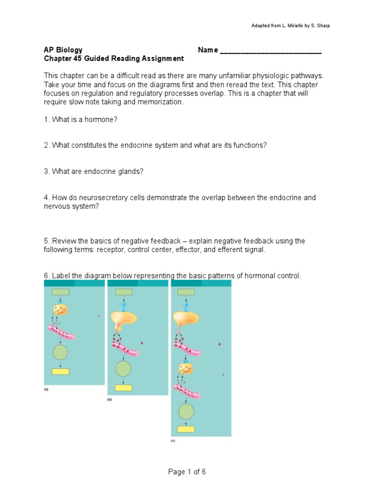 Chapter 45: Endocrine System Overview | PDF | Hormone | Endocrine System