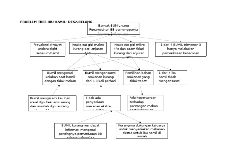 Masalah Nutrisi Ibu Hamil di Desa Belung | PDF