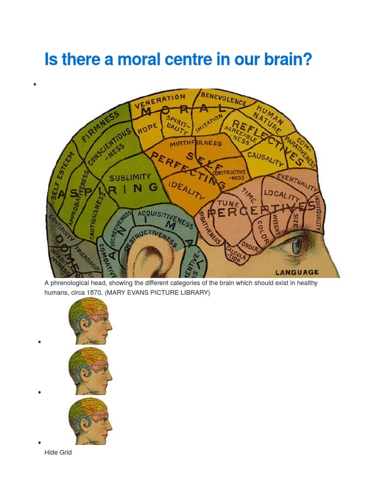 Is there a Moral Centre in Our Brain? | Dorsolateral Prefrontal Cortex ...