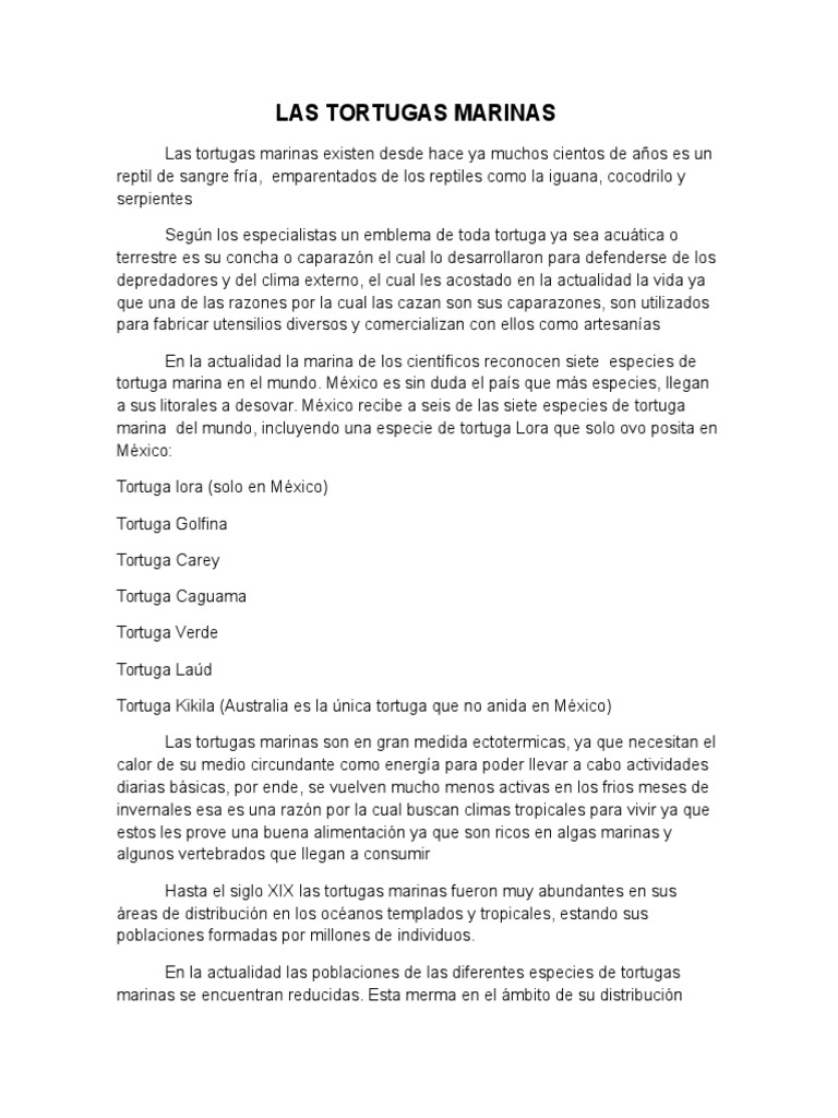 Las Tortugas Marinas | PDF | Tortuga | Tortuga marina