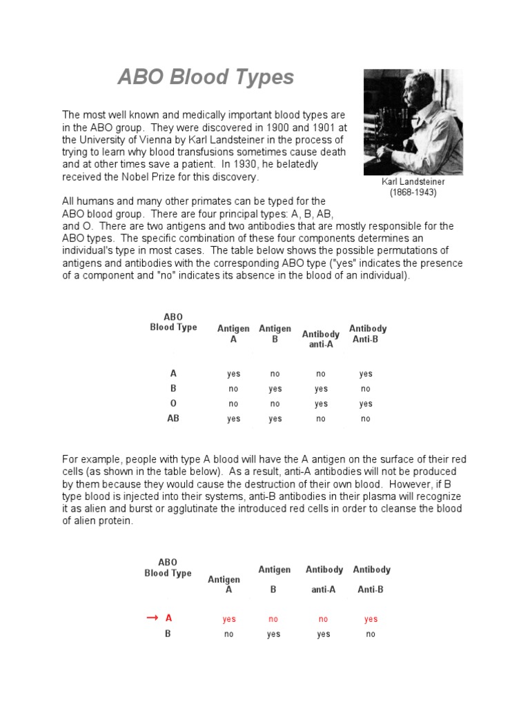 ABO Blood Types | PDF | Medical Specialties | Blood Type