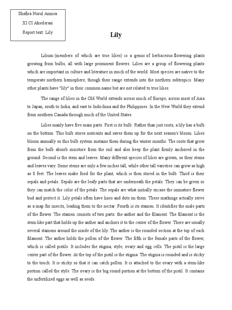 Contoh Report Text | PDF | Lilium | Flowers