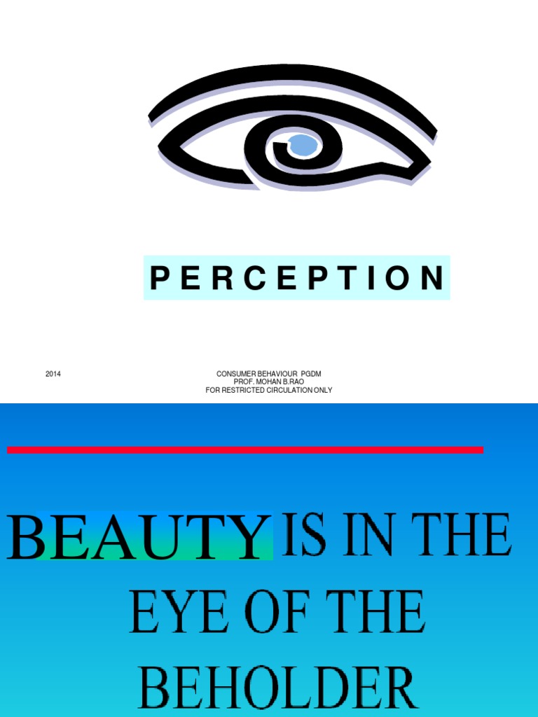 CB Perception | PDF | Consumer Behaviour | Perception