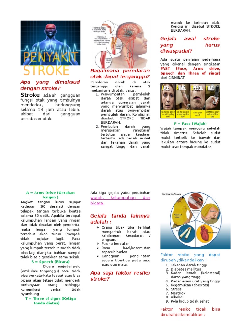Brosur Stroke Contohi | PDF | Kesehatan Holistik
