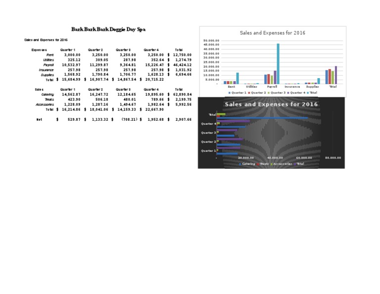 2016 Bark Bark Bark Spa Financials | PDF