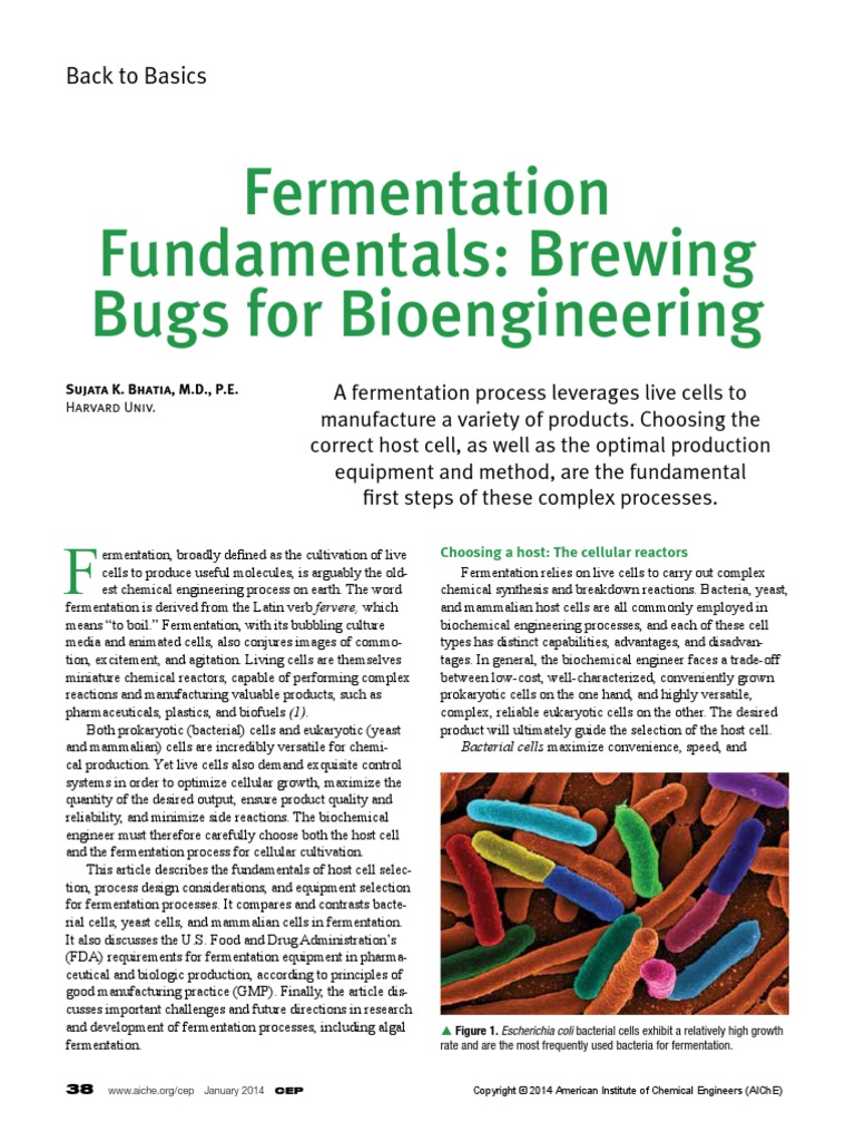 Fermentation Fundamentals | PDF | Yeast | Bacteria