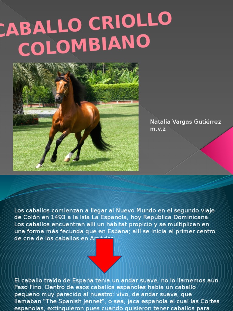 Caballo Criollo Colombiano | PDF | Caballos | Colombia