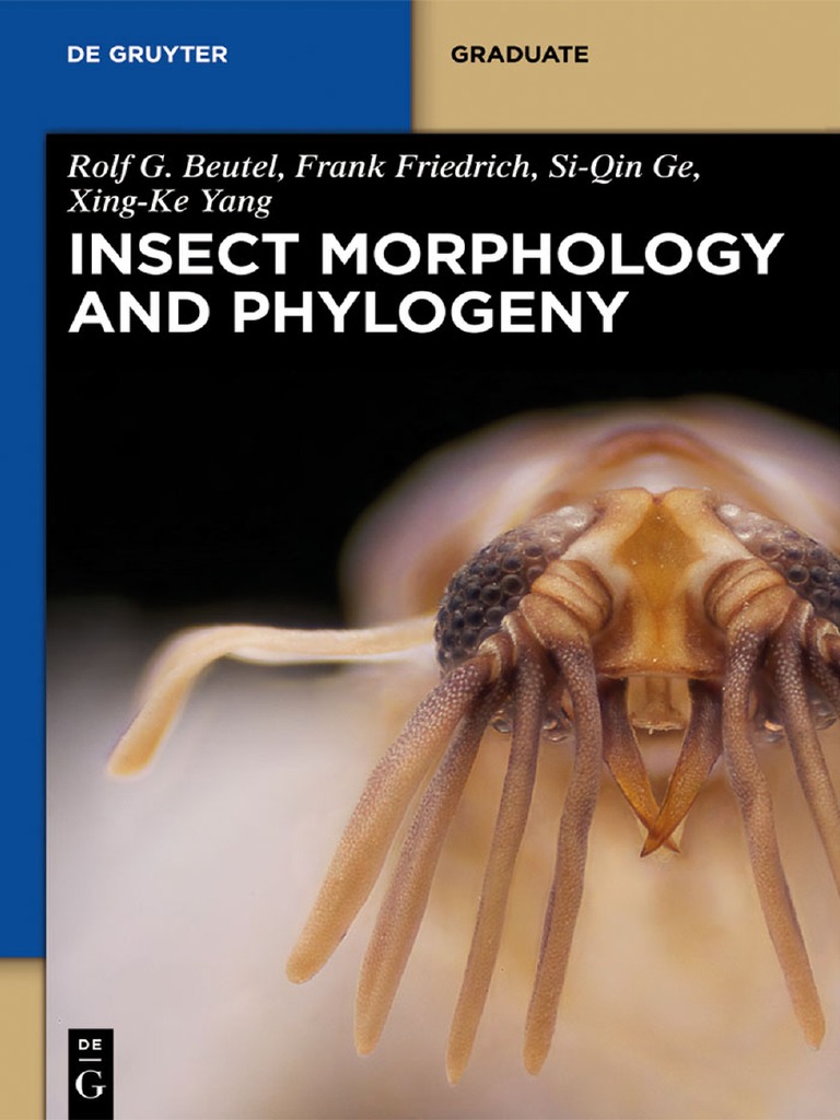 Insect Morphology and Phylogeny | Anatomy | Biology