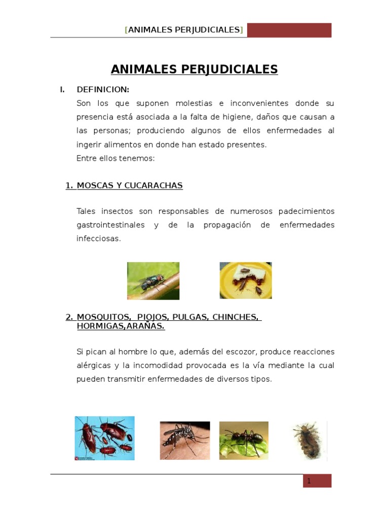 Animales Perjudiciales | PDF