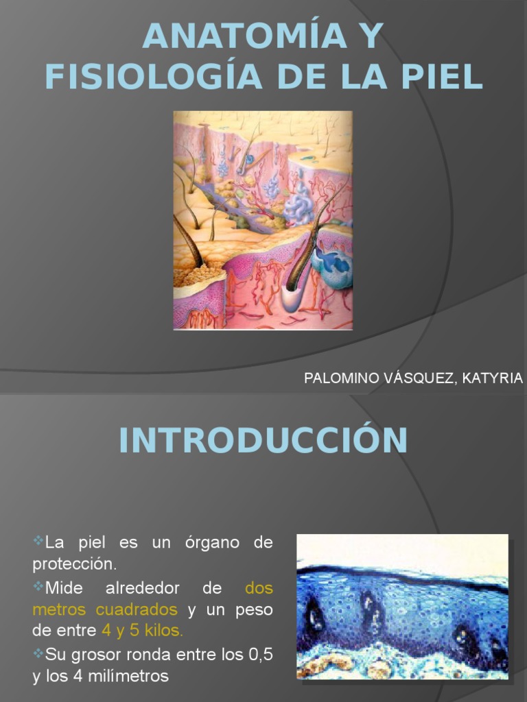 Anatomía Y Fisiología De La Piel Pdf Epidermis Piel