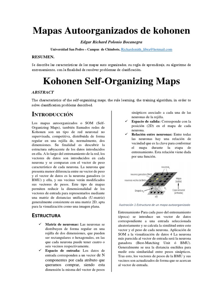 Mapas Autoorganizados de Kohonen | Descargar gratis PDF | Red neuronal ...