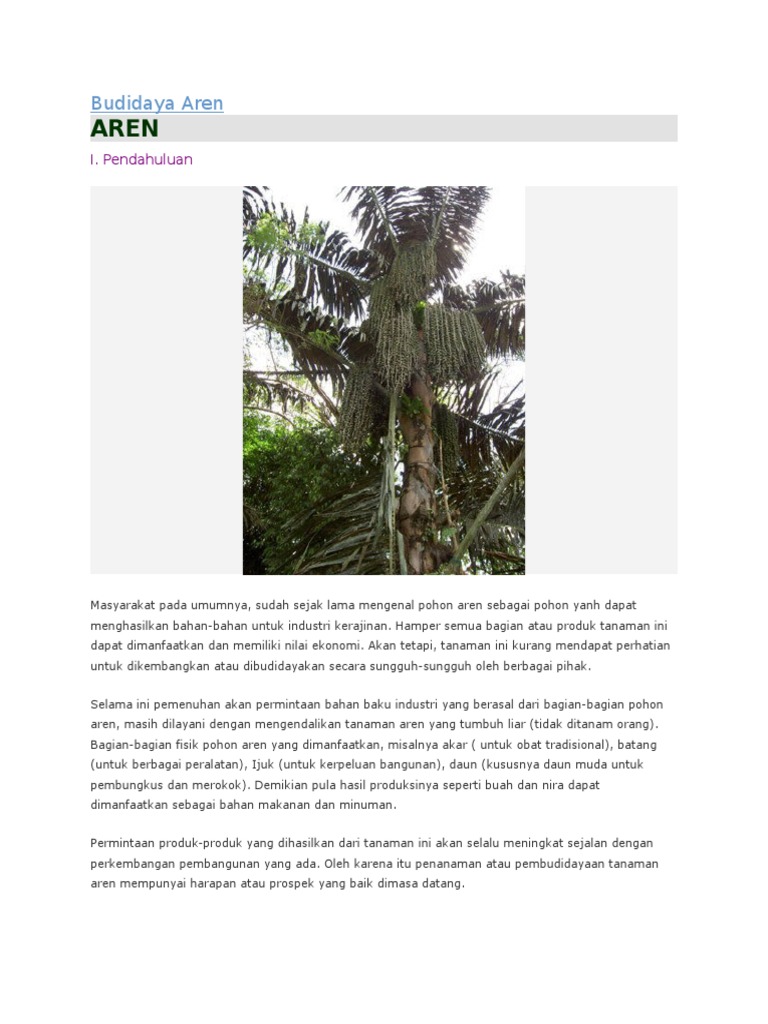 Budidaya Aren | PDF | Griya & Taman | Teknologi & Rekayasa