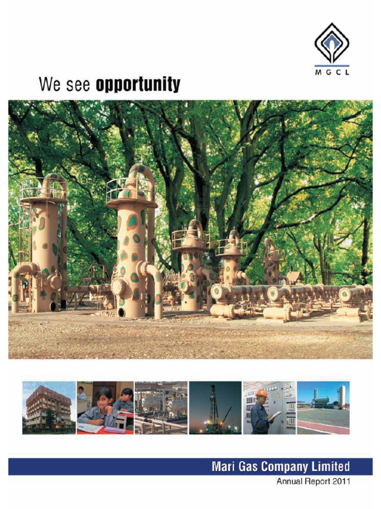 Mari Gas Company Limited 2011 PDF | PDF | Expense | Taxes