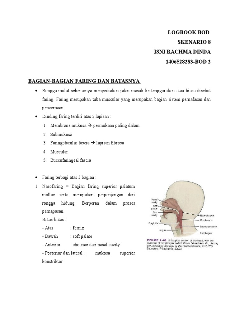 Anatomi Komponen Faring | PDF