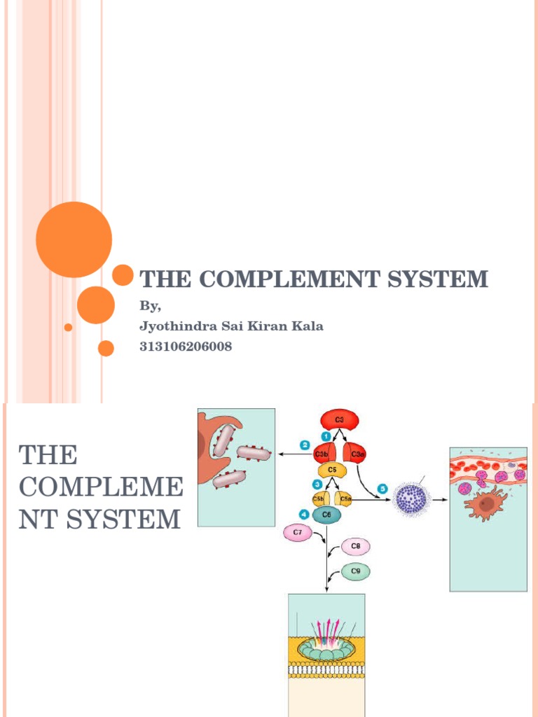 The Complement System | Complement System | Animal Anatomy