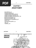EMRA SportsMedicine Splint Guide | PDF | Thumb | Hand