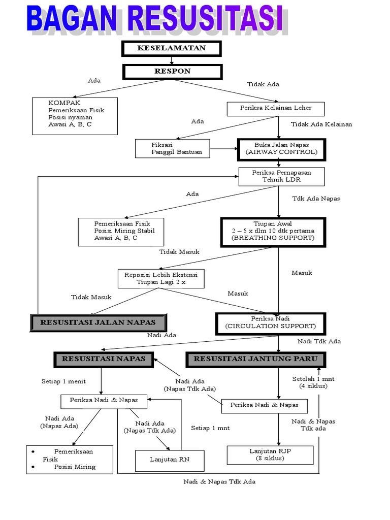 Alur RJP | PDF | Kesehatan Holistik