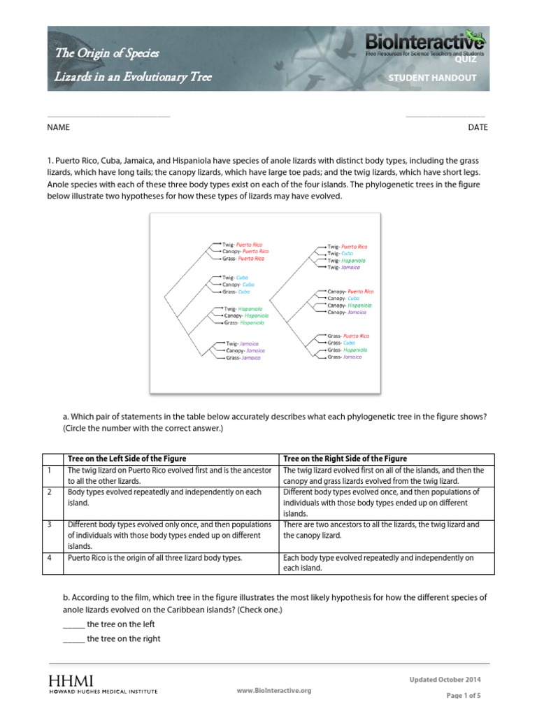 Evolution of Lizards | PDF | Evolution | Experiment