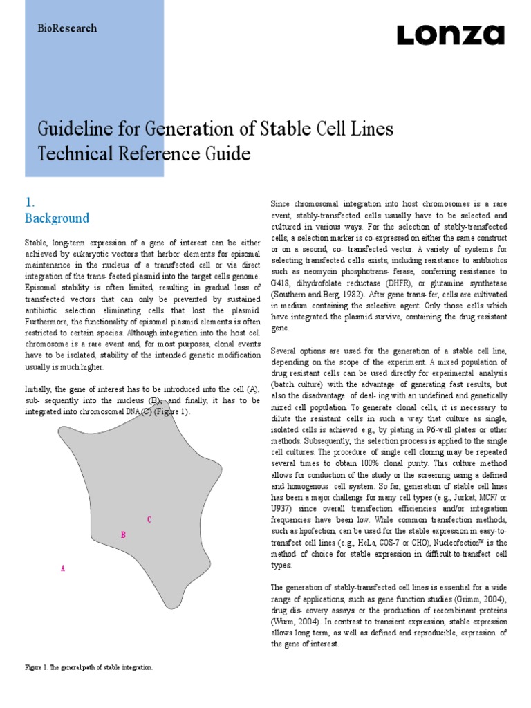 Lonza BenchGuides Guideline For Generation of Stable Cell Lines ...