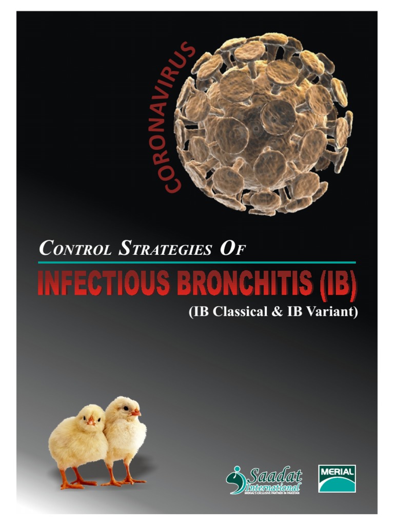 Control Strategies of Infectious Bronchitis | Clinical Pathology ...