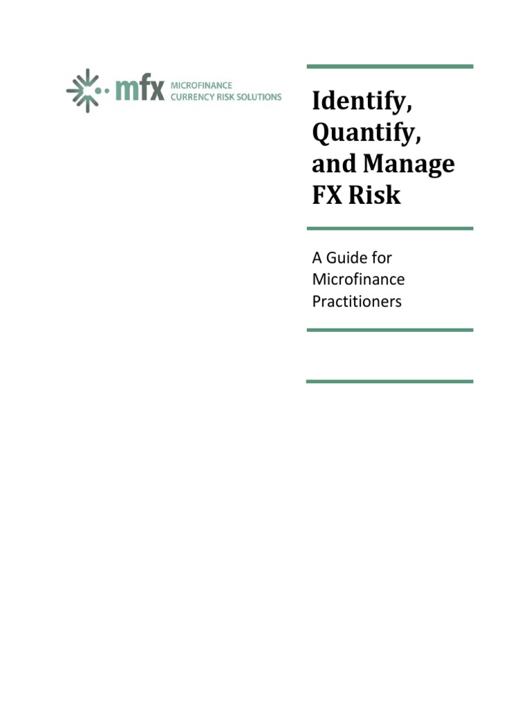 III Guide To Identifying Quantifying and Managing FX Risk | PDF ...