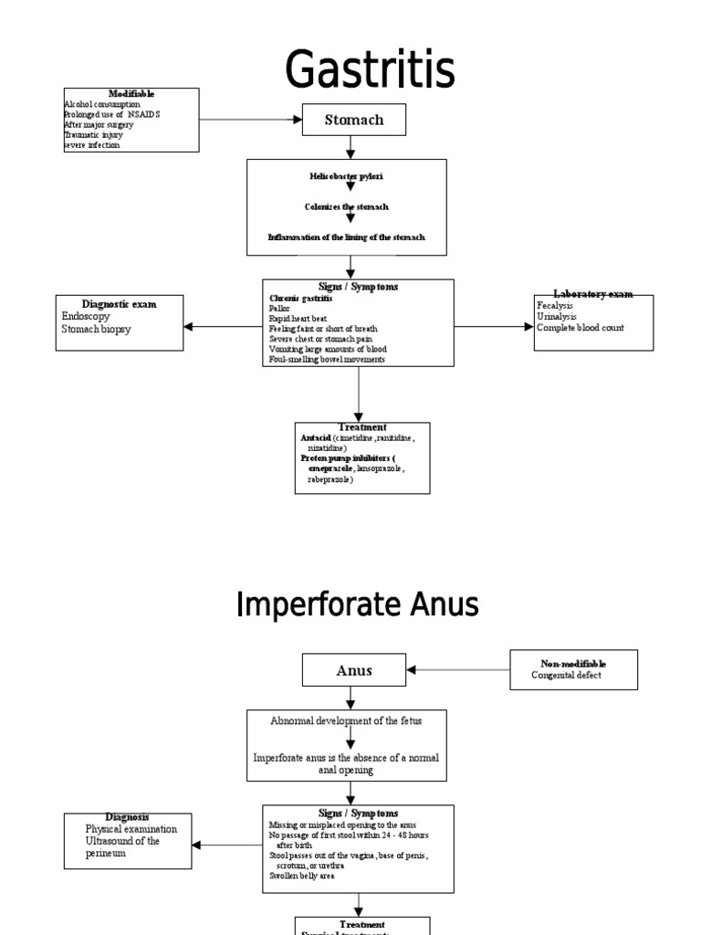 GASTRO PATHOPHYSIOLOGY | Digestive System | Diseases And Disorders