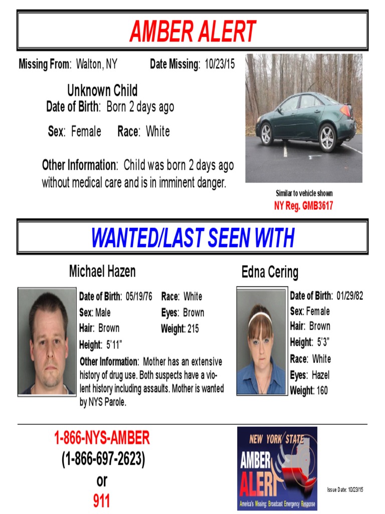 AMBER Alert | PDF