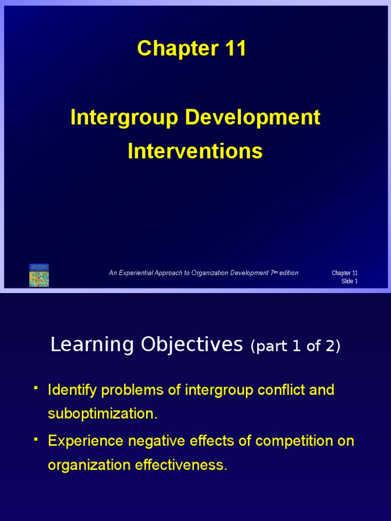 Intergroup Development Strategies | PDF | Organization Development | Academic Discipline ...