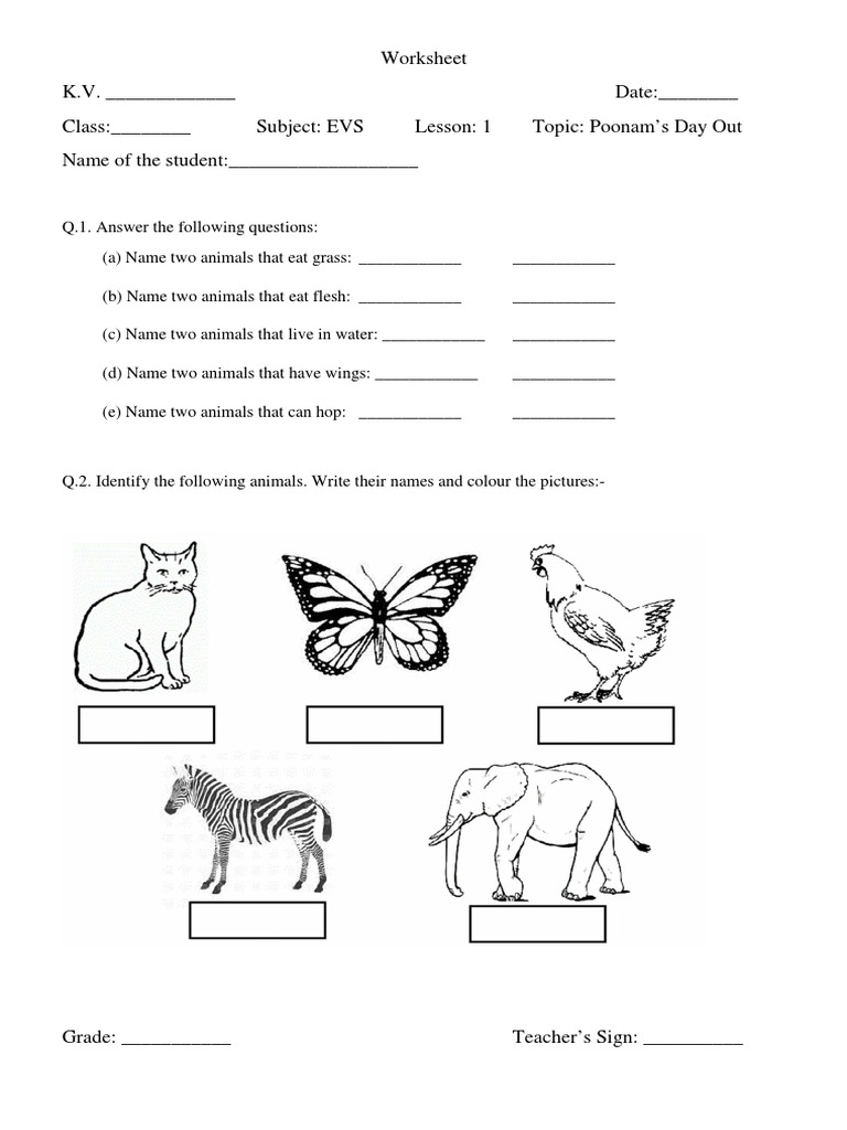 714554800worksheets Evs Class 3 Lesson 1-5 | PDF | Plants