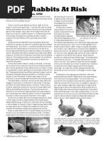 Pet Size o Meter Rabbit | PDF | Obesity | Dieting