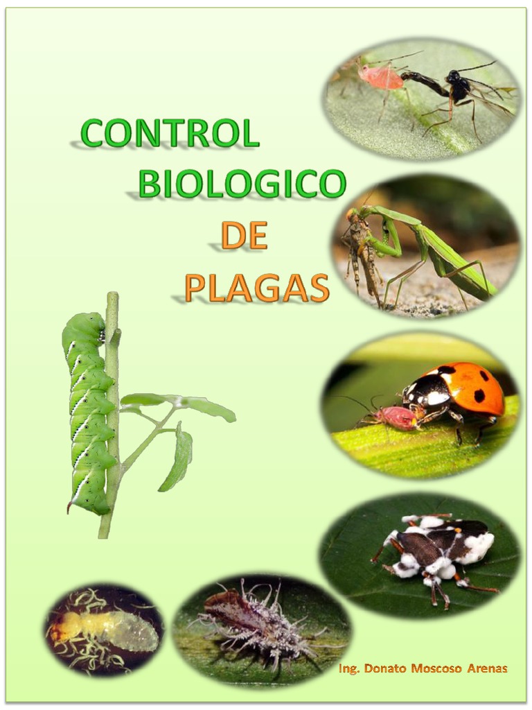 Control Biologico de Plagas Agricolas - Donato Moscoso Arenas PDF | PDF | Insectos beneficiosos ...