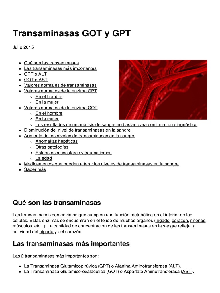 Transaminasas Got y GPT 2161 Nr39o2 | PDF | Transaminasa | Alanina ...
