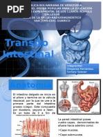 Transito Intestinal Estudios Especiales RADIOLOGIA | PDF | Intestino ...