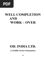 Defining Well Operating Envelope | PDF | Computers